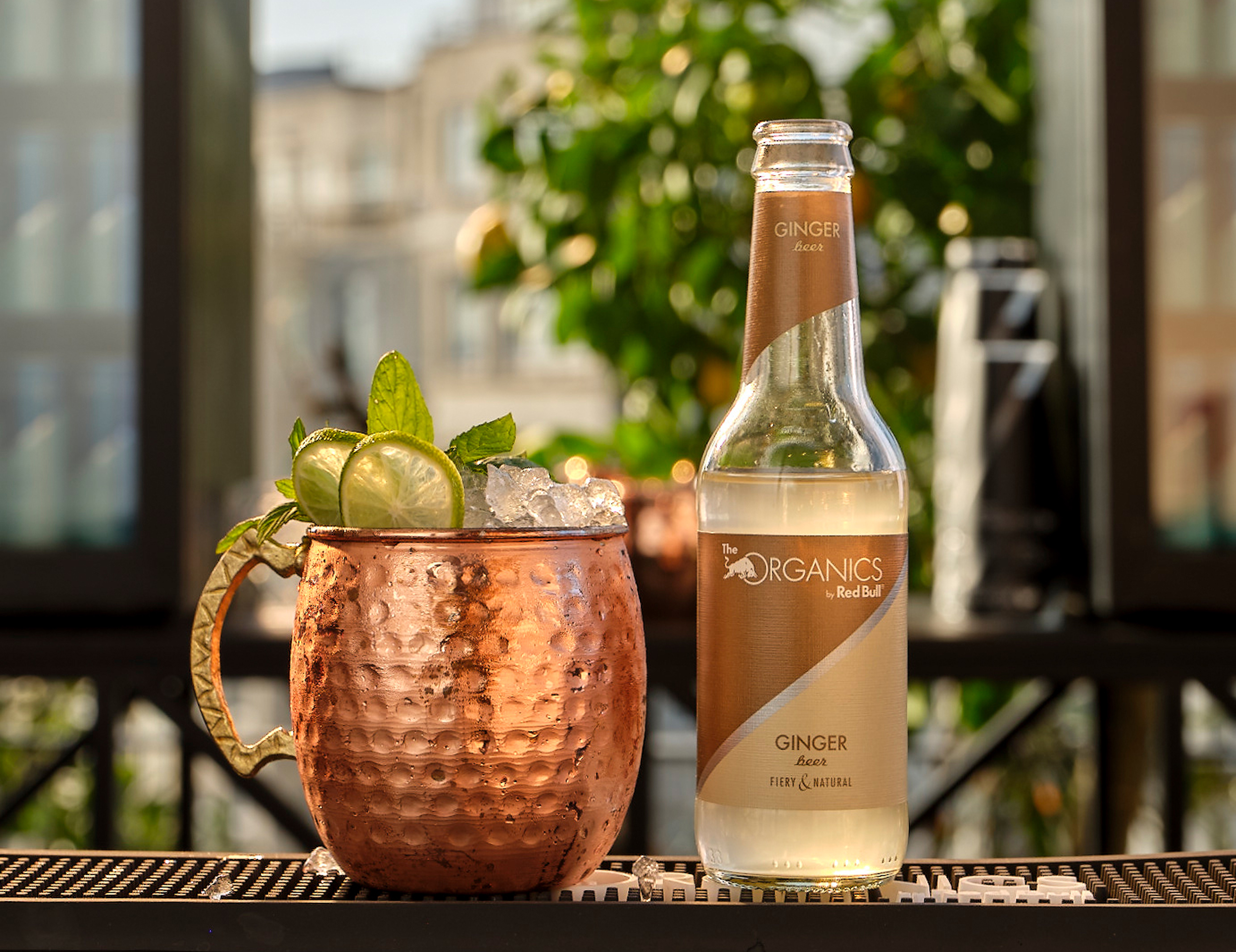 ORGANICS Ginger Beer | The ORGANICS by Red Bull®