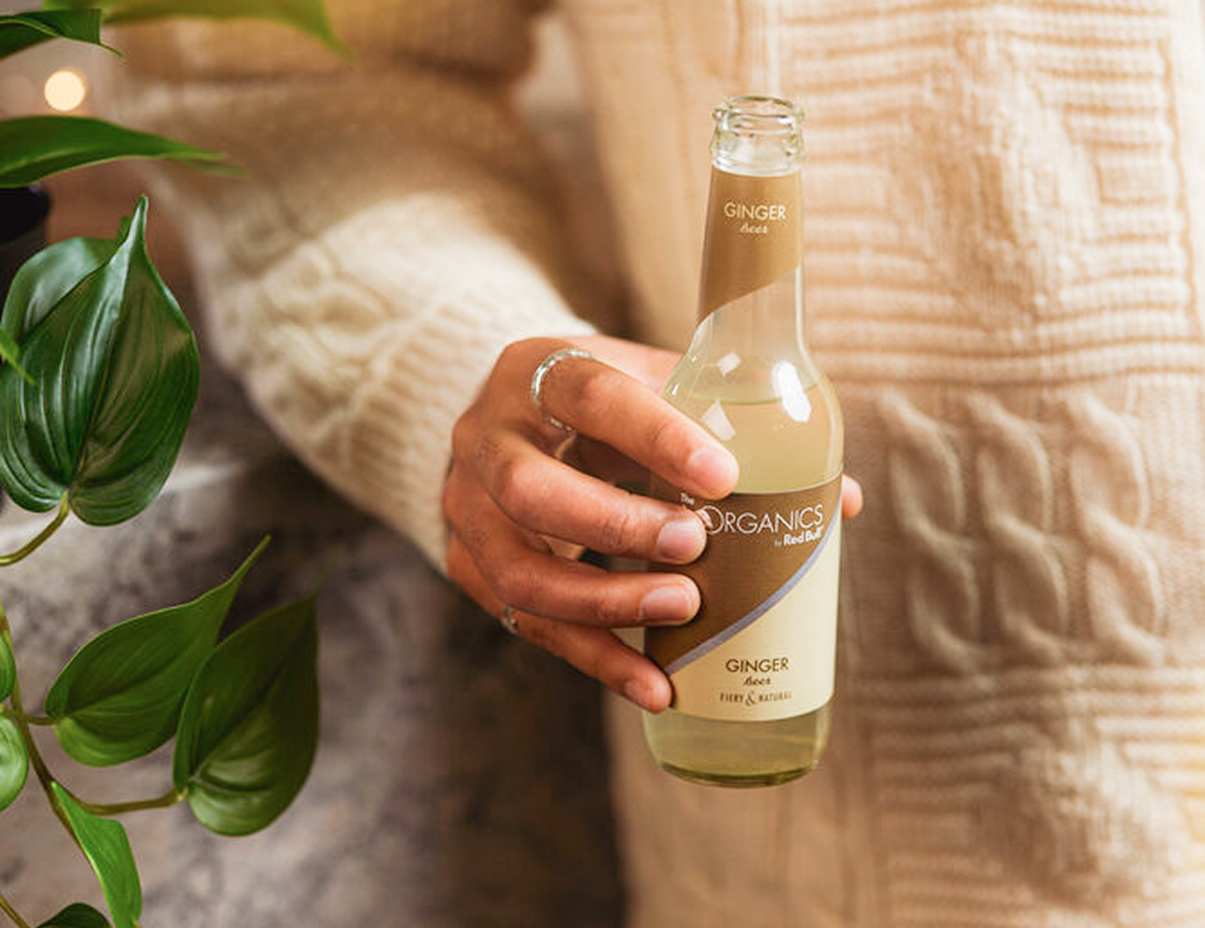 ORGANICS Ginger Beer | The ORGANICS by Red Bull®
