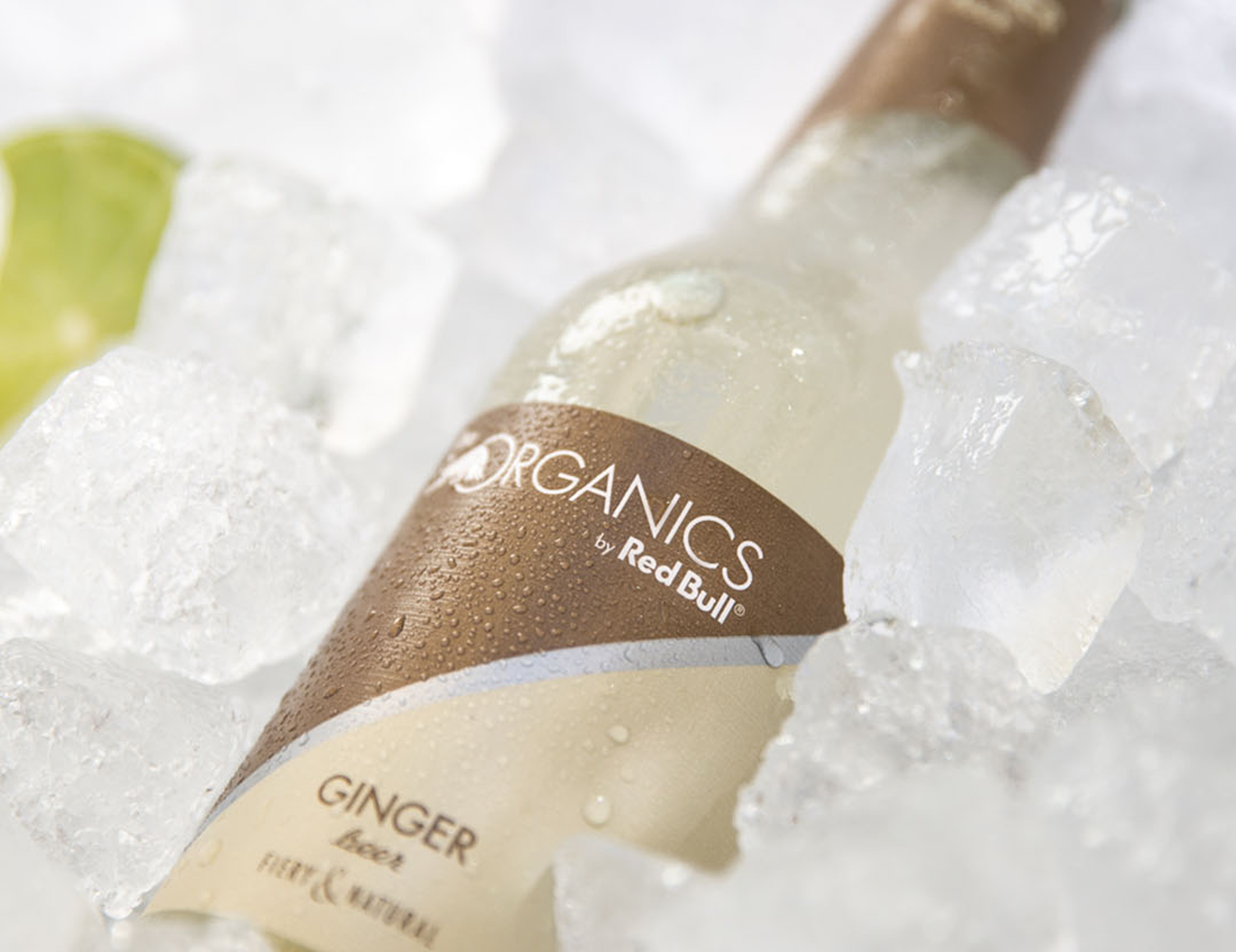 ORGANICS Ginger Beer | The ORGANICS by Red Bull®